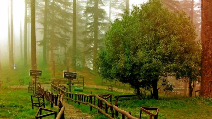 Places to Visit in Dhanaulti in 2025 - Kanatal Heights